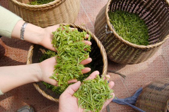 Top 10 Famous Chinese Teas - Seven Cups