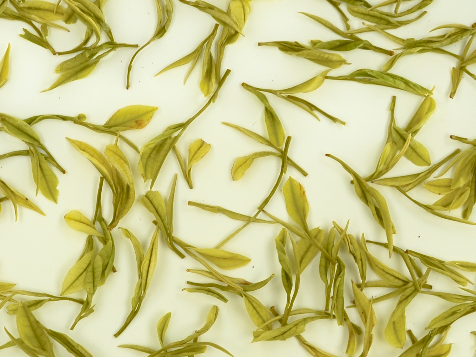 International Specialty Tea Association - Color as a Standard of Tea