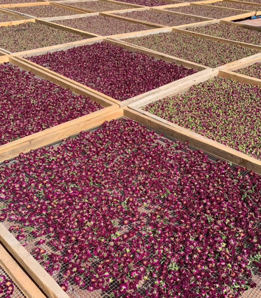 Mei Gui Hua (Rose Buds) Caffeine Free Herbal Tea