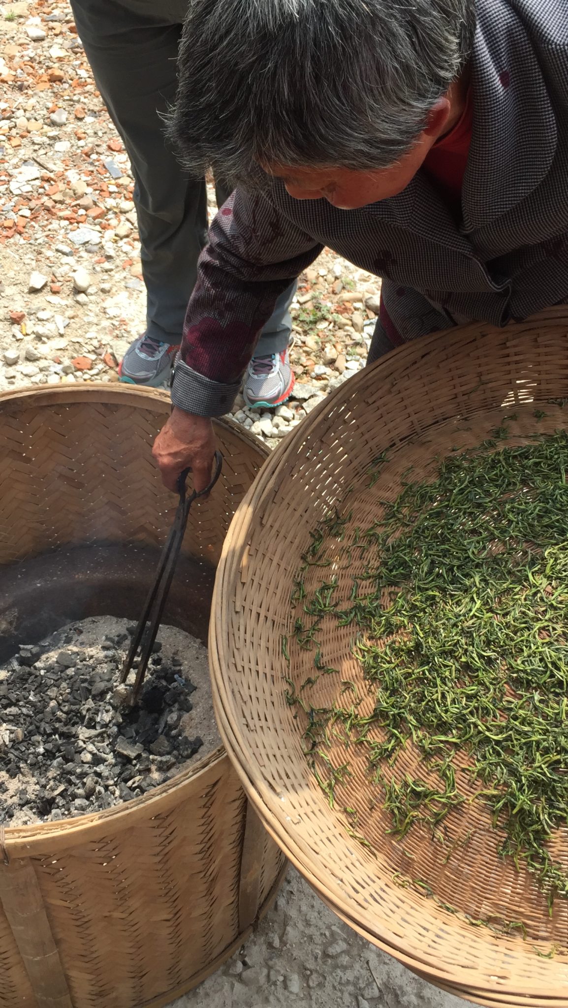 Guzhu Zisun (Purple Bamboo Shoot) 2026 Green Tea - Seven Cups