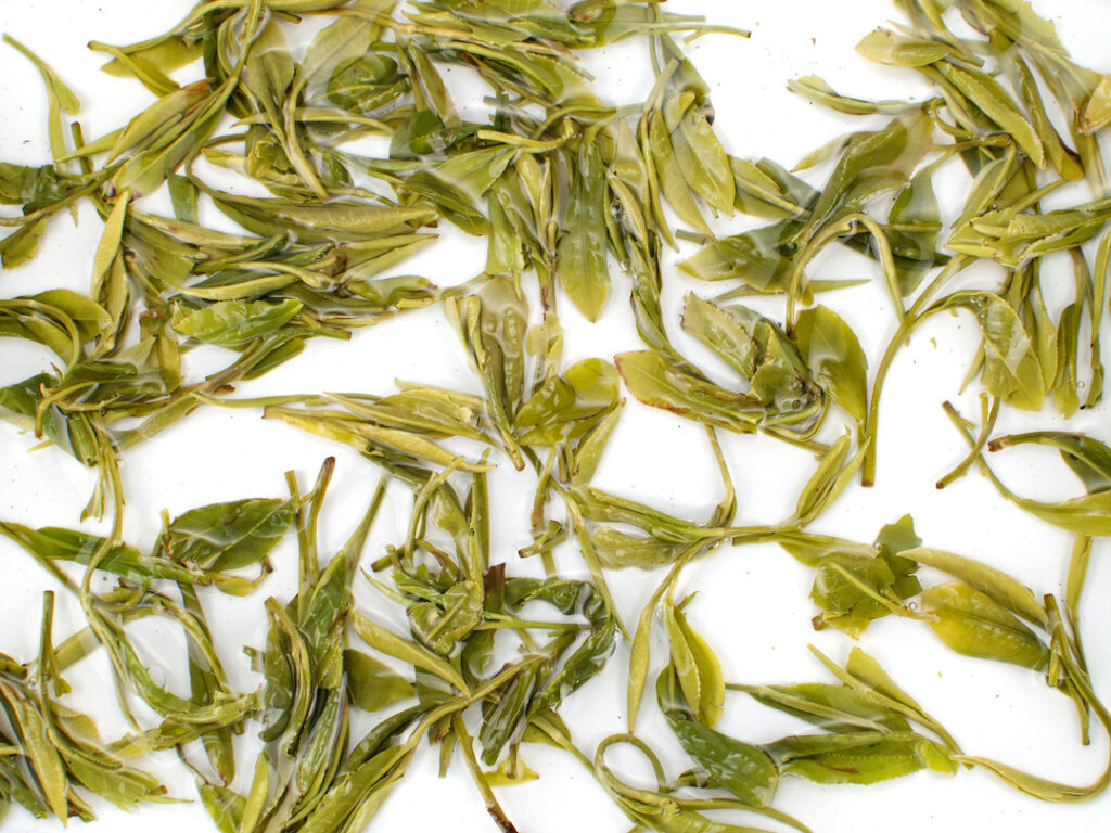 Huangshan Maofeng (Yellow Mountain) 2025 Green Tea | Seven Cups