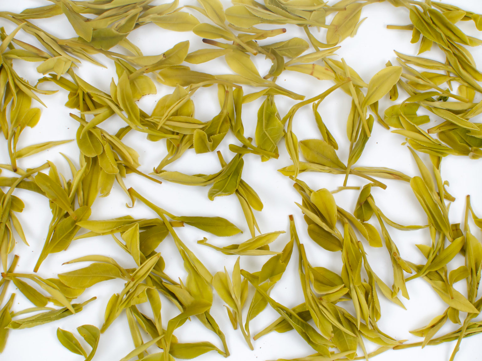 Guzhu Zisun (Purple Bamboo Shoot) 2026 Green Tea - Seven Cups