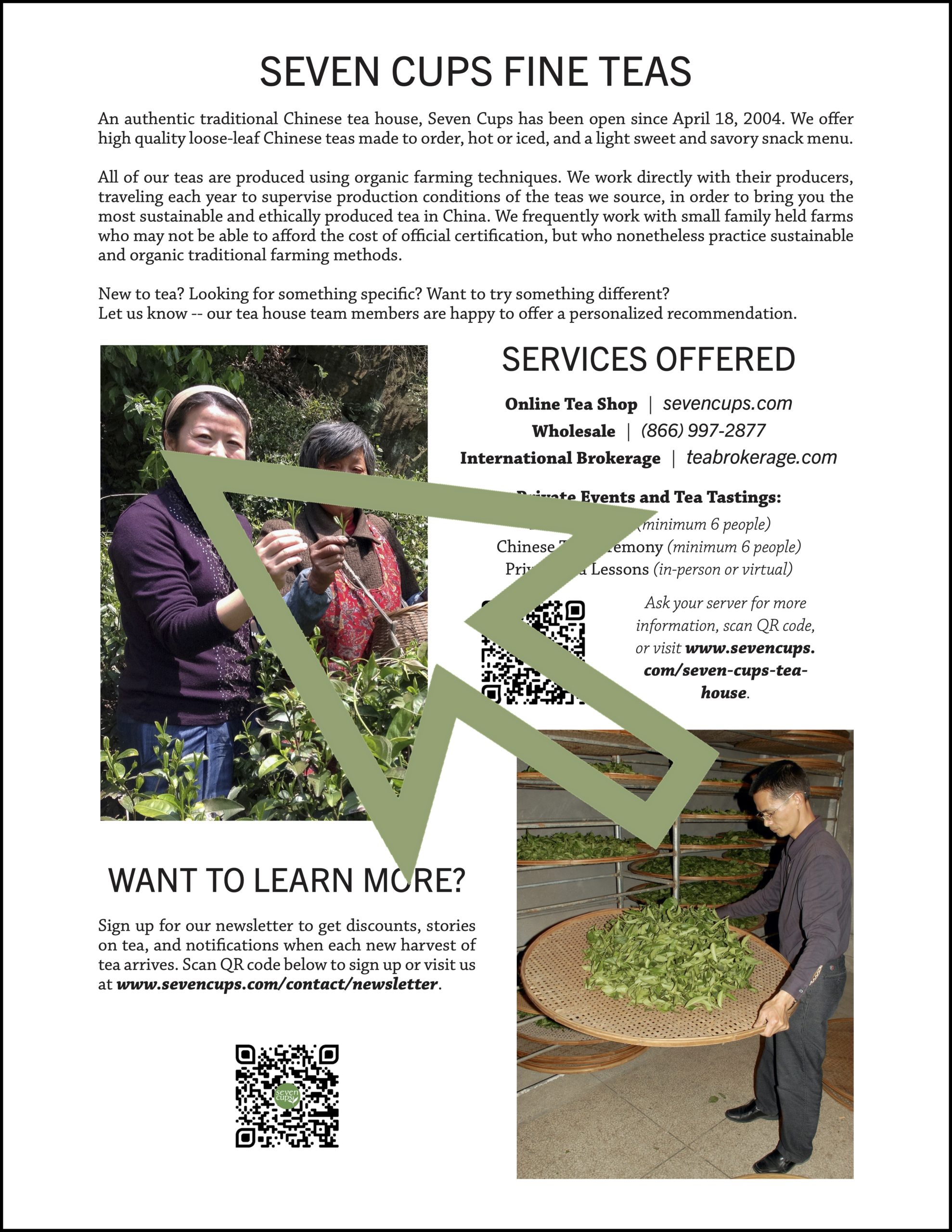 Seven Cups Tucson Teahouse - Seven Cups