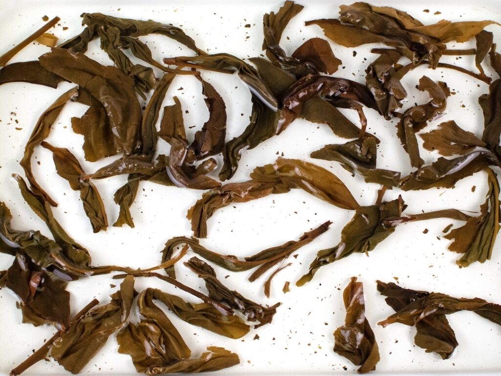 Jingmai Huang Pian (Jingmai Yellow Leaf) Sheng Puer - Seven Cups Fine Teas